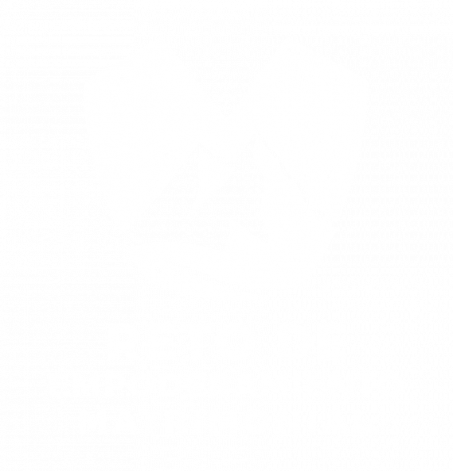 REM – Matrimonios REM